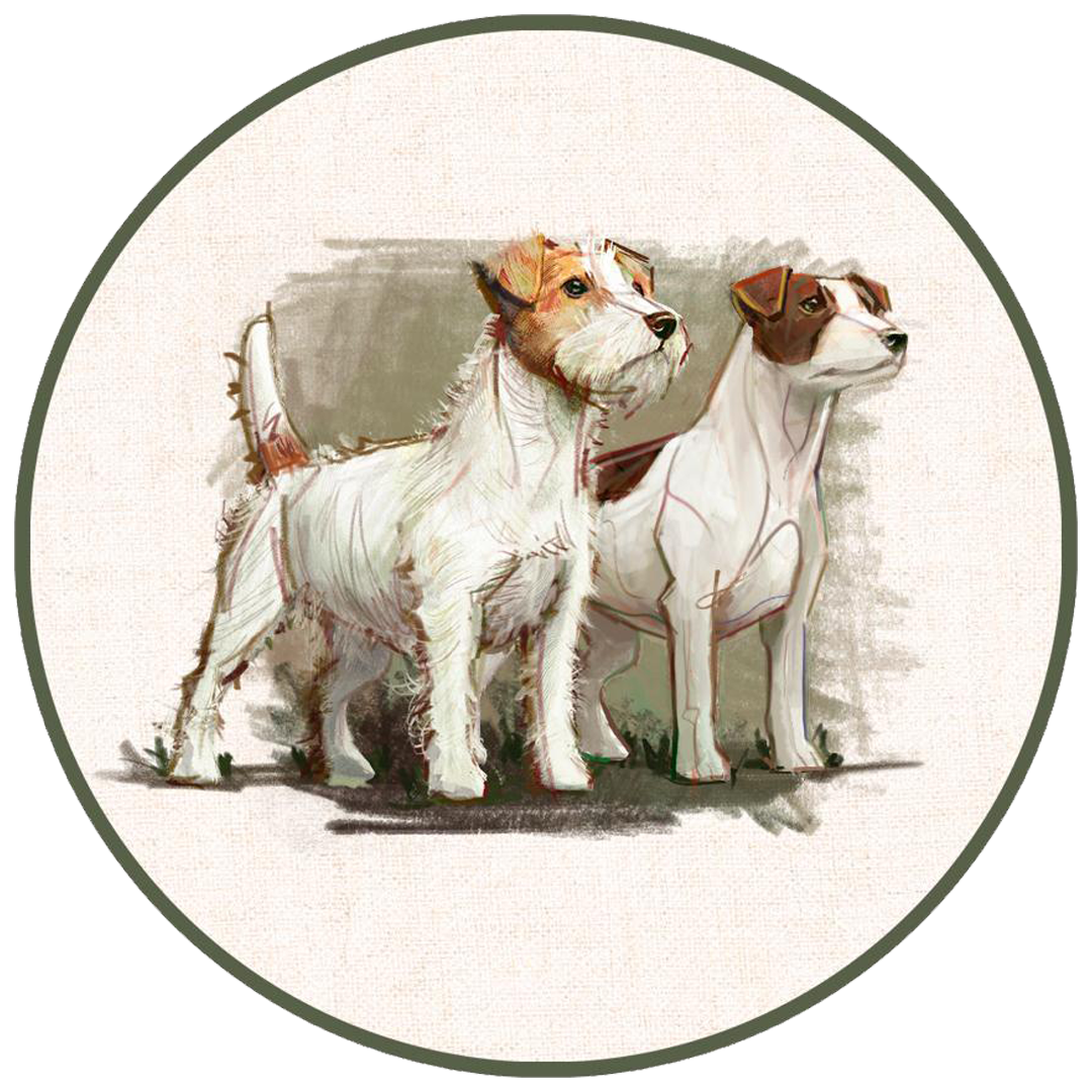ᐉ Historia del Jack Russell Terrier » Camino de Sirga